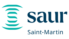 Accueil | Saur Saint Martin